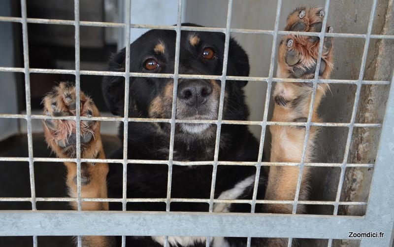 SPA (ne pas diffuser)