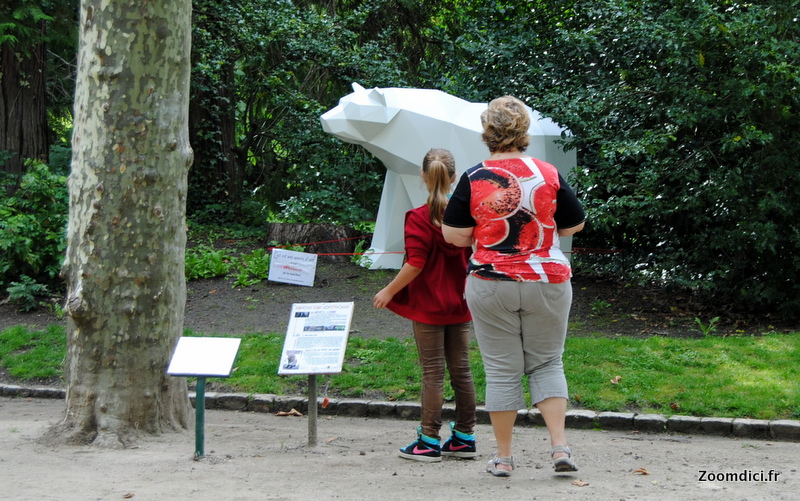 Le mystère des " animok's