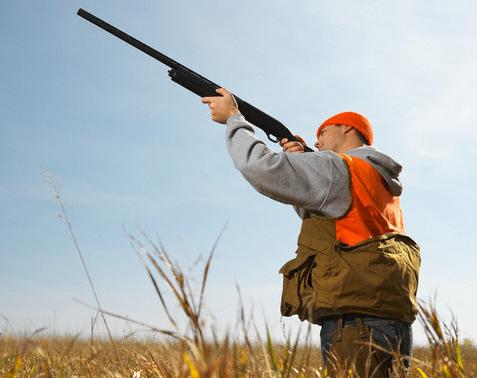 Chasse : La FNE demande "un répit pour la faune sauvage"