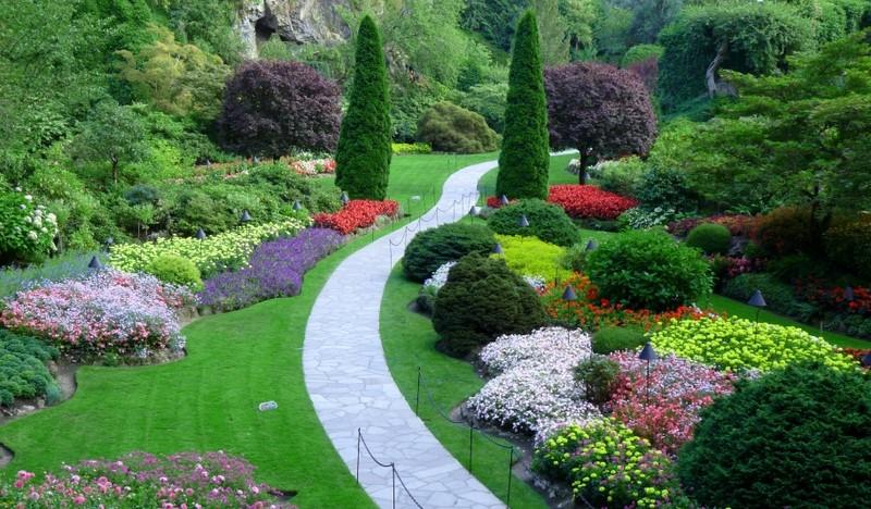 Jardin du Bel-arbre donne vie et embellit vos extérieurs