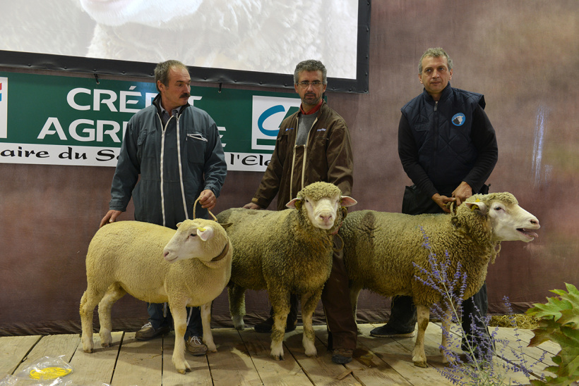 Le monde de l'élevage à Clermont la semaine prochaine
