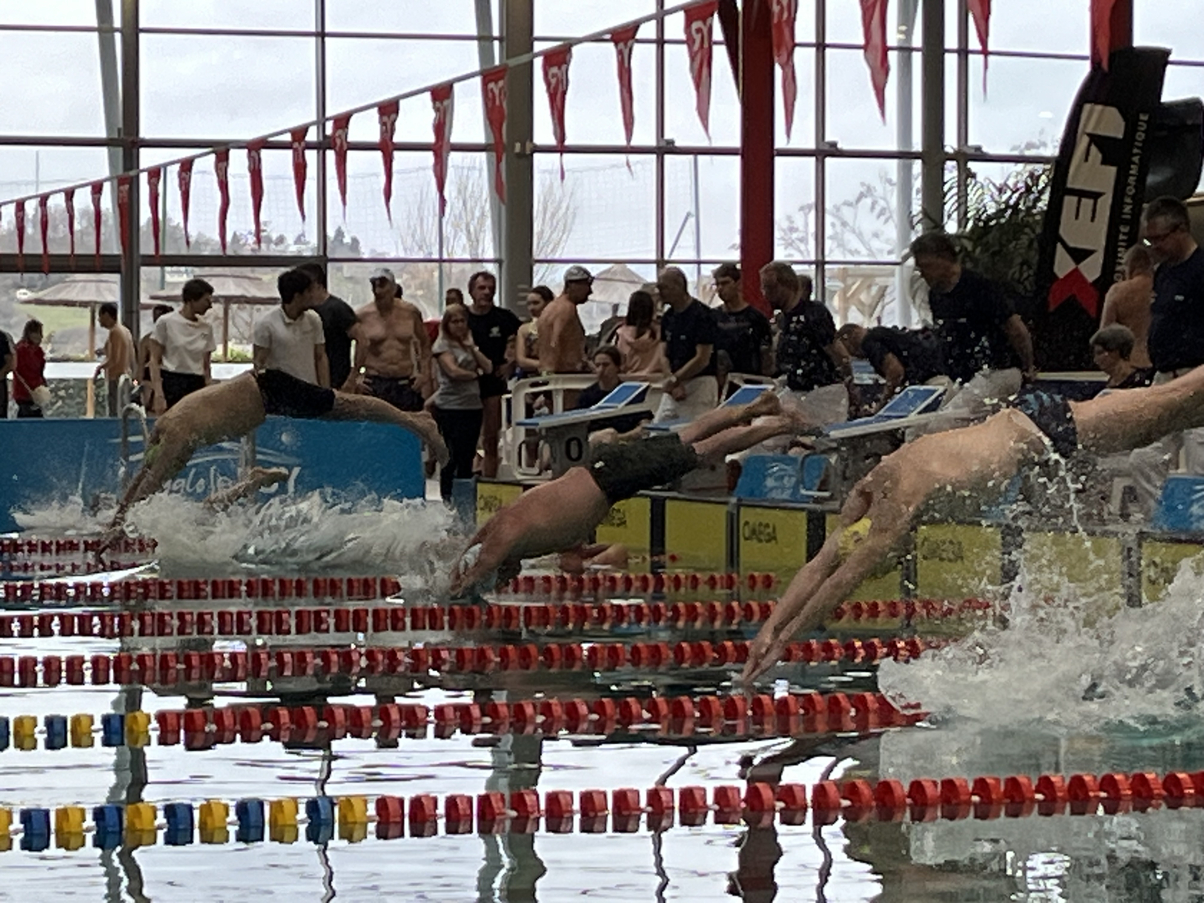 Masters de Natation du Puy : Une vague de champions