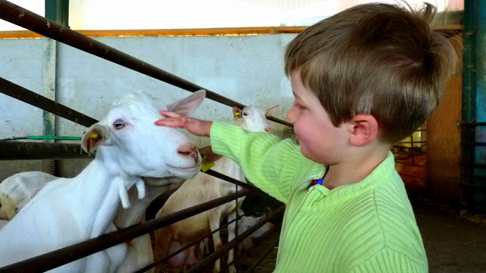 Clermont-Fd : Mini-fermes, contes, et magie... au département