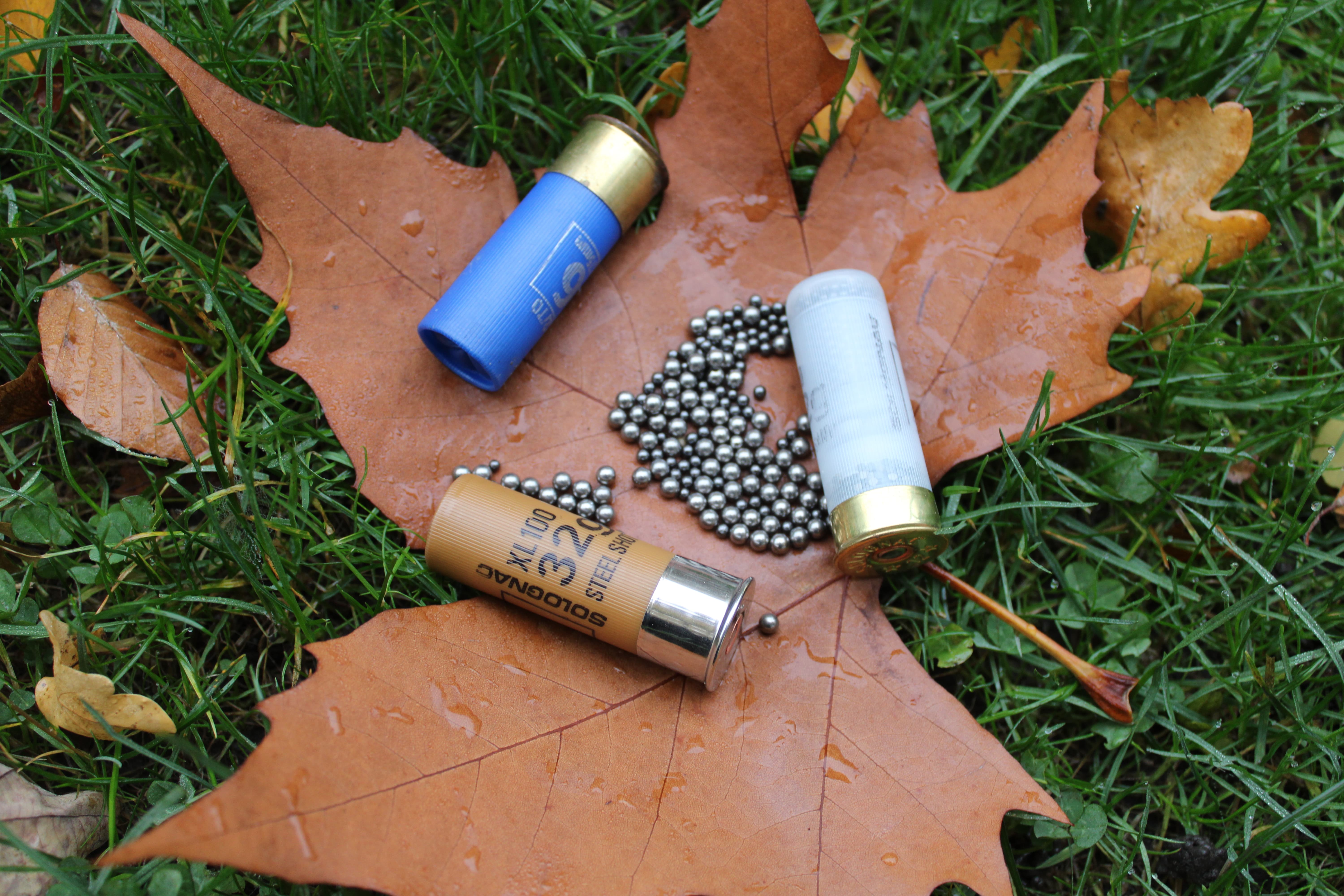 Utilisation du plomb à la chasse : après l'inquiétude, l'incertitude