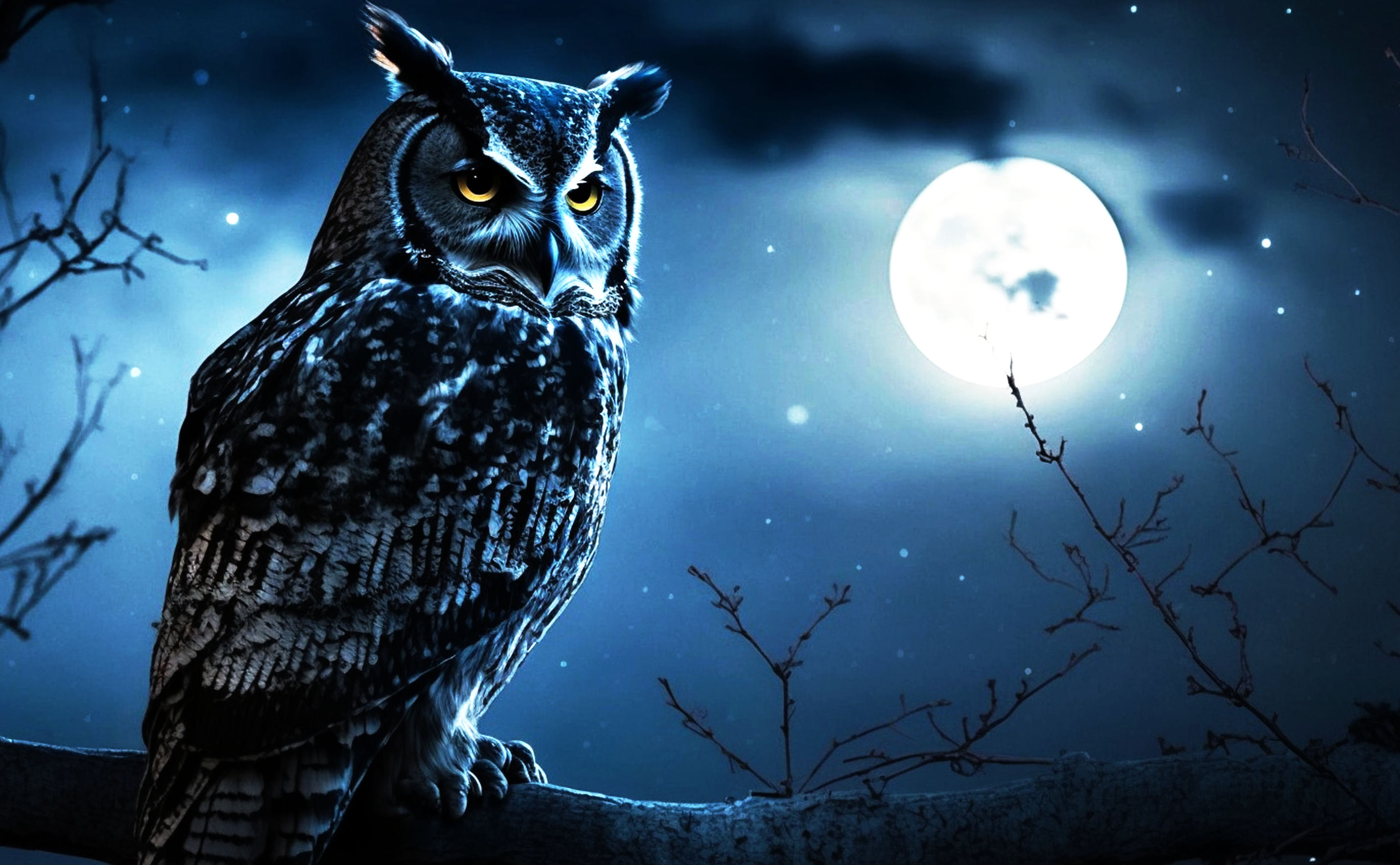 The Black Owl : un escape game fixe au Puy-en-Velay